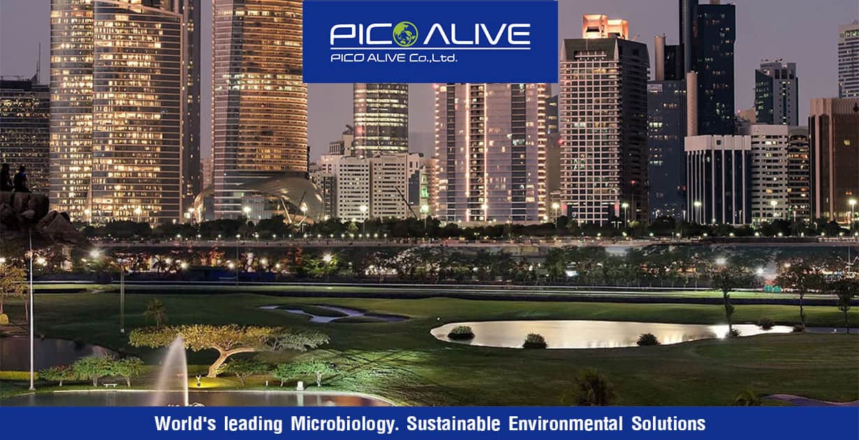 PICO ALIVE บริการและการใช้ผลิตภัณฑ์จุลินทรีย์แก้ไขปัญหา