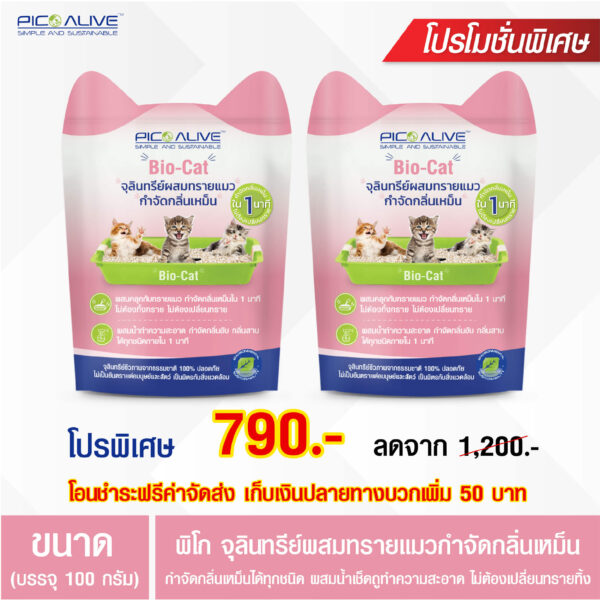 Bio Cat Archives - Pico Alive