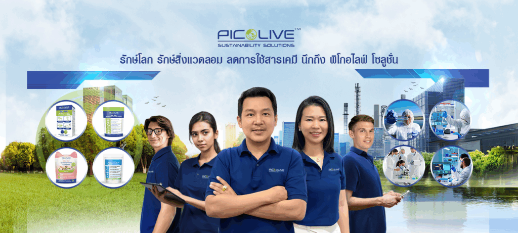 Pico Alive - มาร่วมเป็นตัวแทนจำหน่ายกับเรา